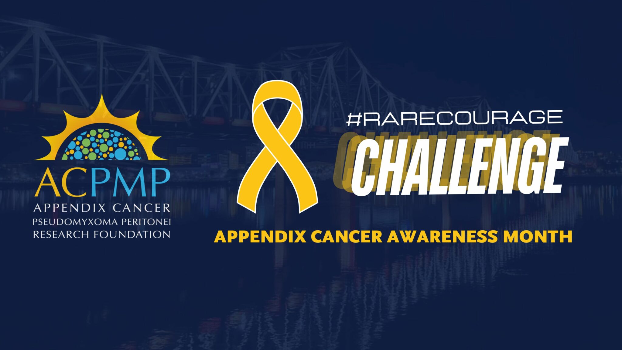 Appendix Cancer Pseudomyxoma Peritonei Research Foundation