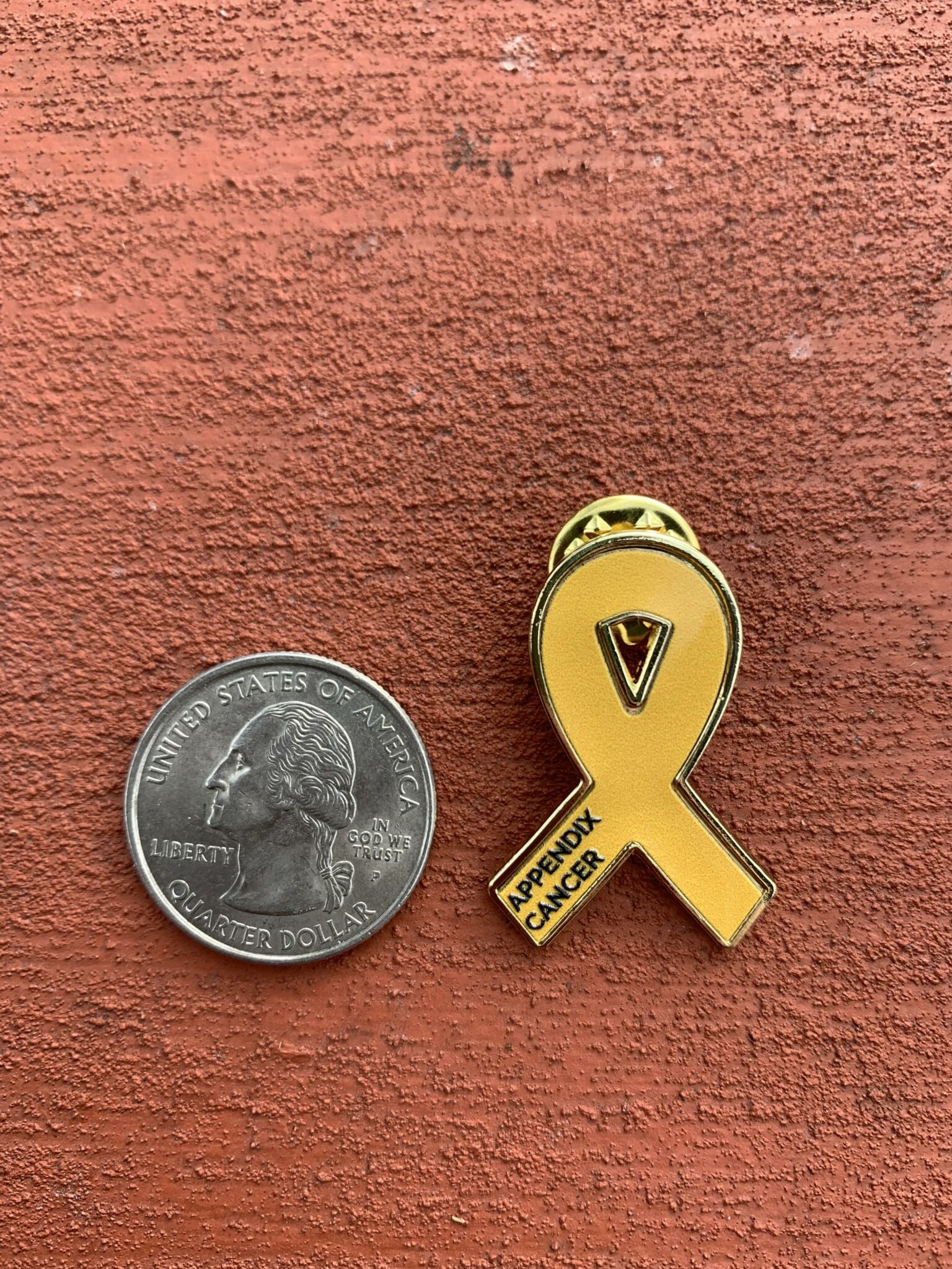 Appendix Cancer Lapel Pin - ACPMP