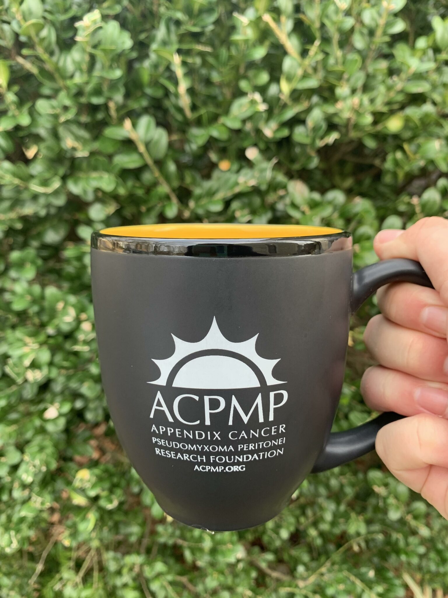 Appendix Cancer PMP Research Foundation Logo Mug - Black w/ Amber ...