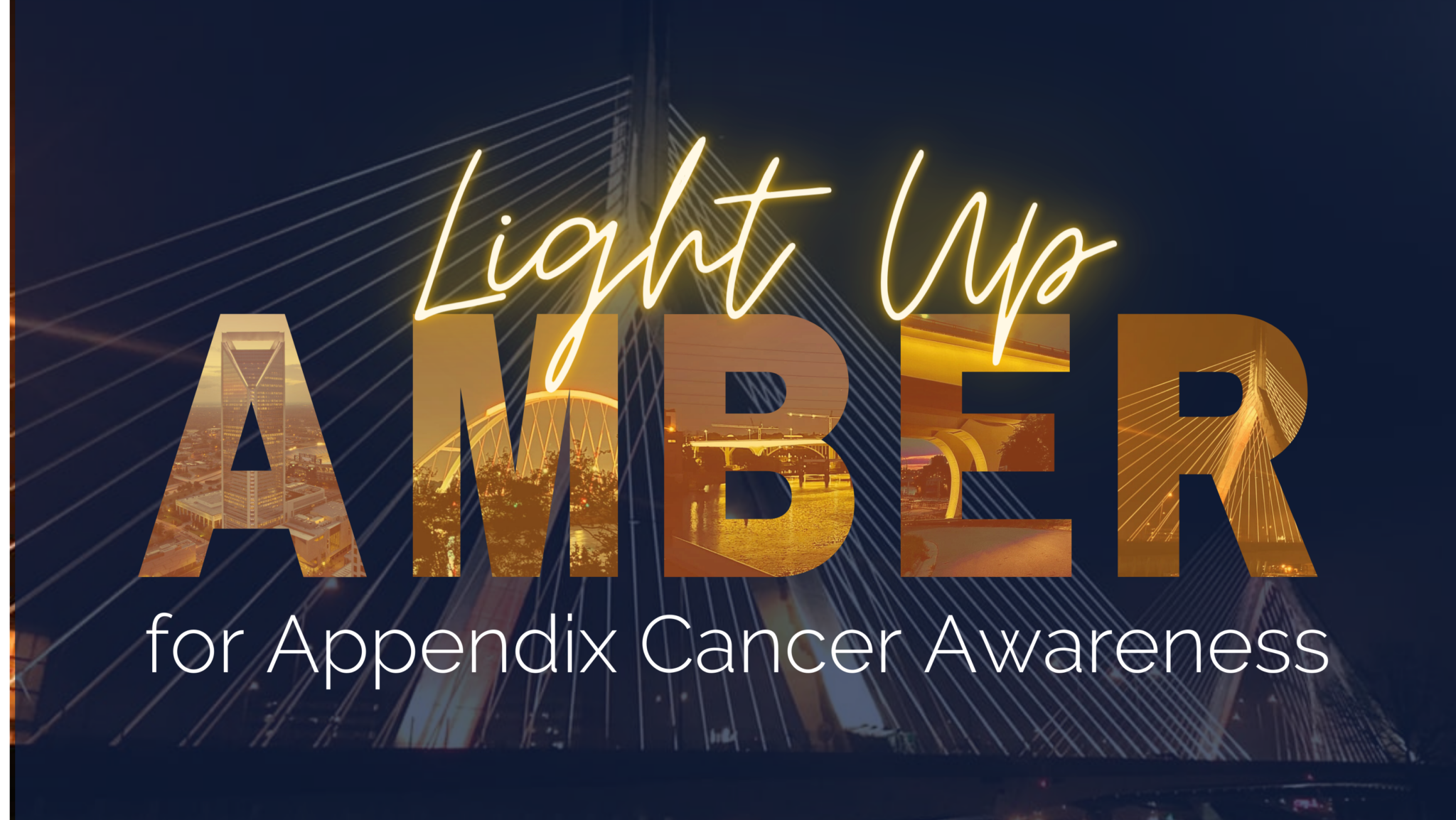 Light Up Amber for Appendix Cancer 2024 - ACPMP